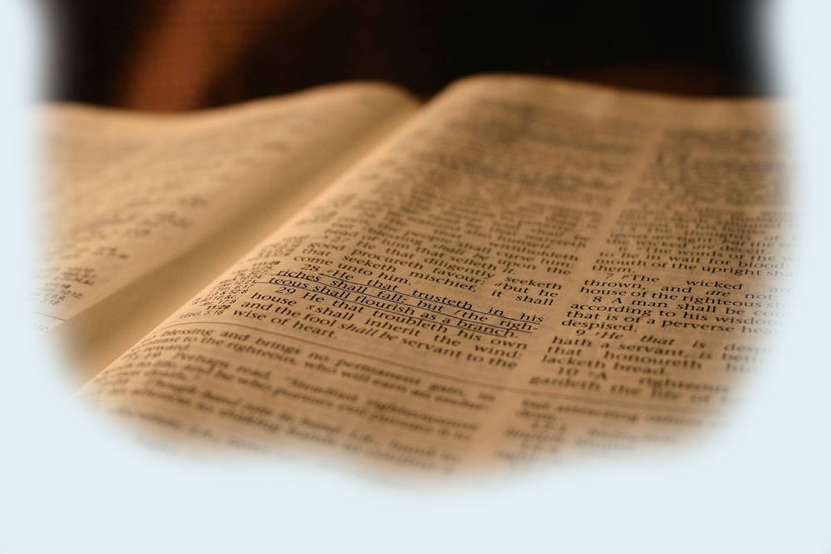 Login | Enjoy your bible